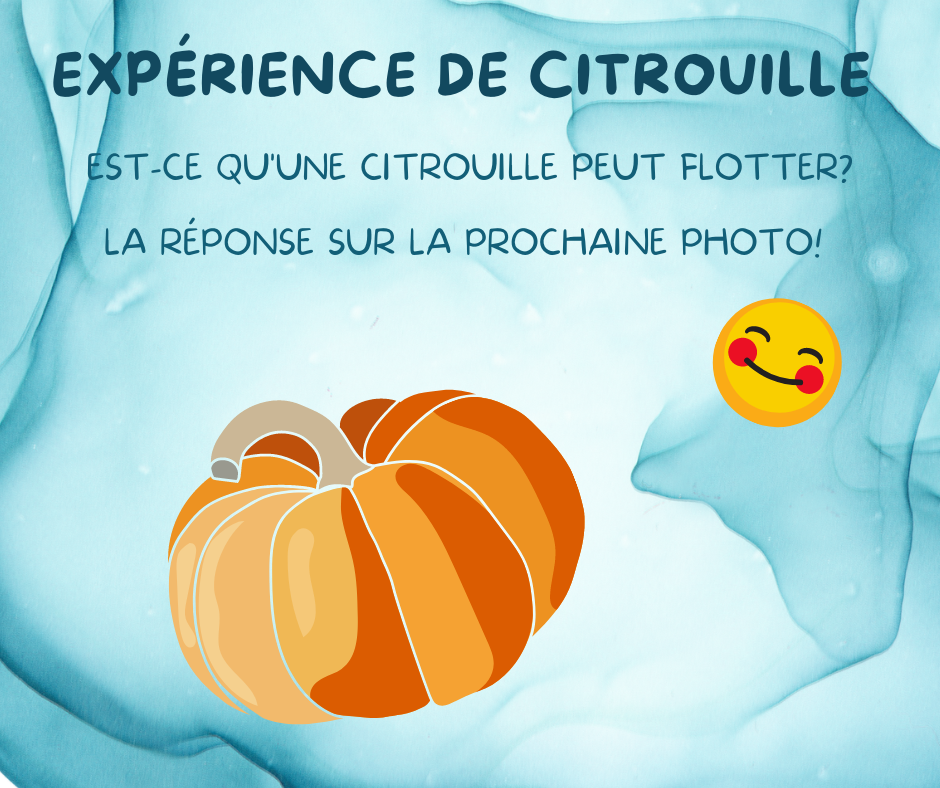 Est-ce qu'une citrouille peut flotter? - École Marie-Clarac